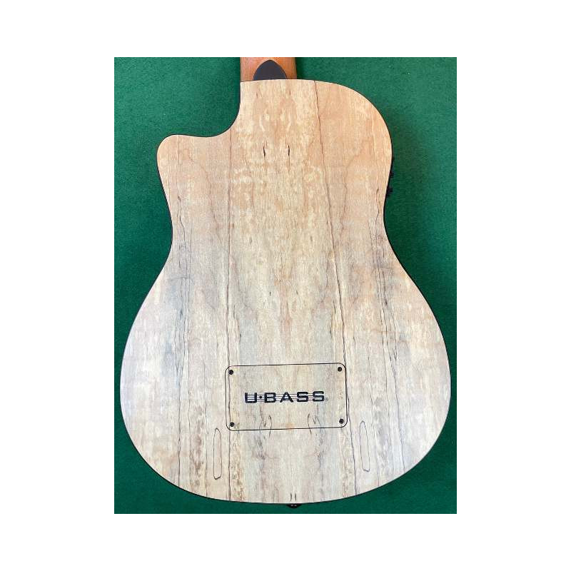 Kala U-Bass Spalted Maple